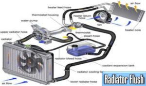 Radiator Flush Cost Guide | Car Service Land